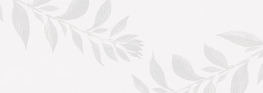 ORMENIS MULTICAULIS OIL – Dermatology M Store